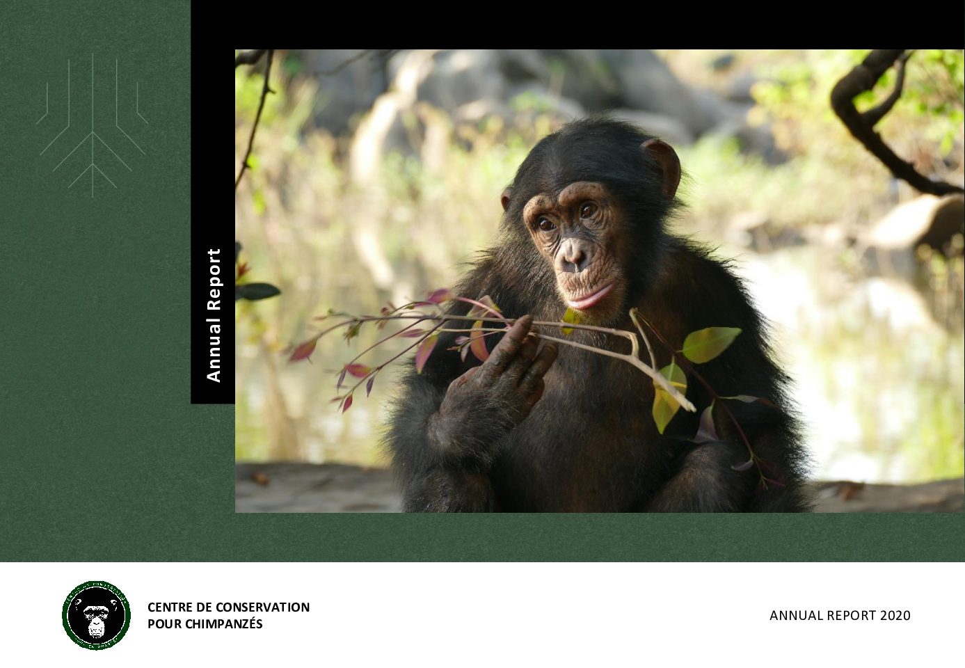 Reports and Publications - Projet Primates