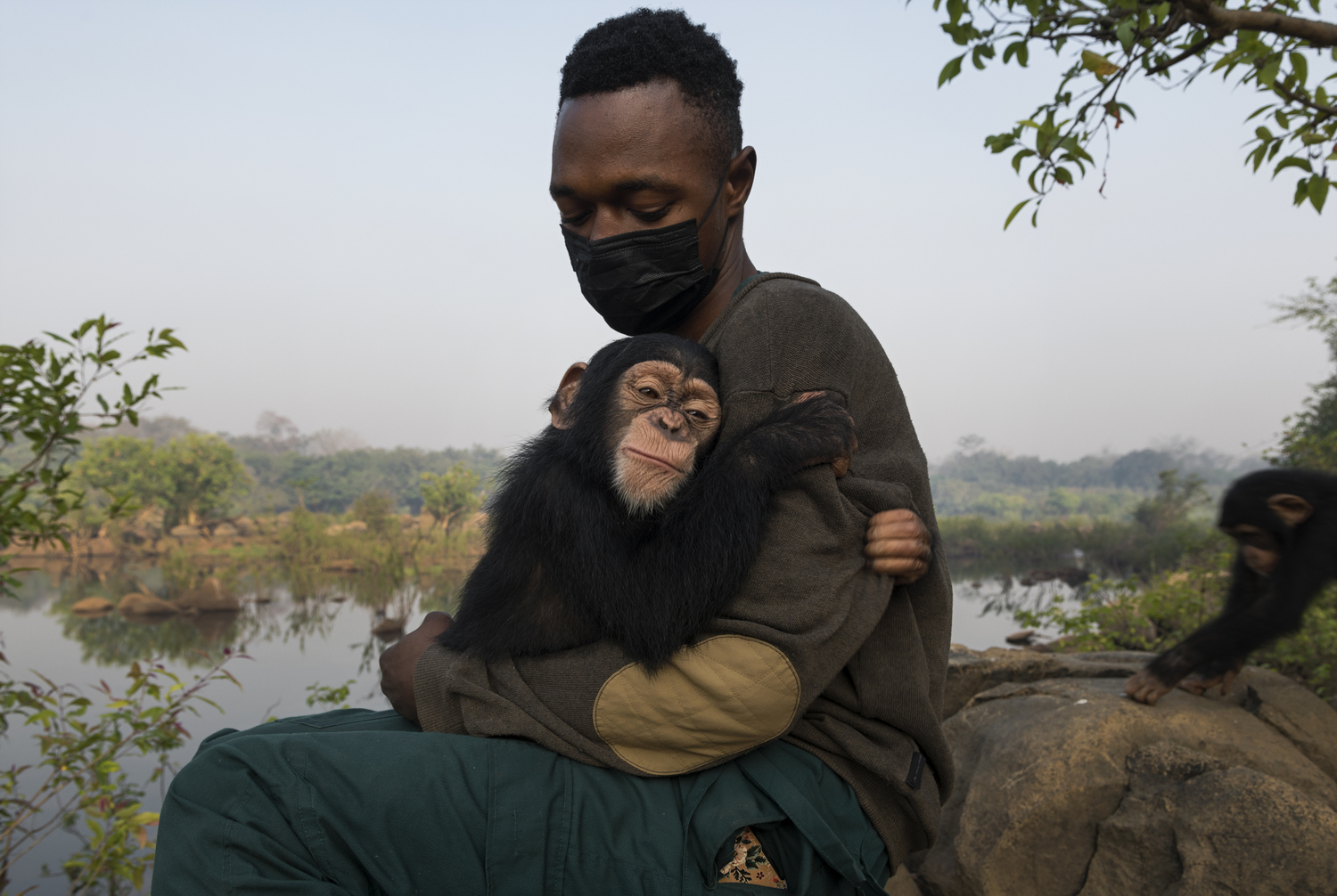 Home - Projet Primates - Chimpanzee Protection Association