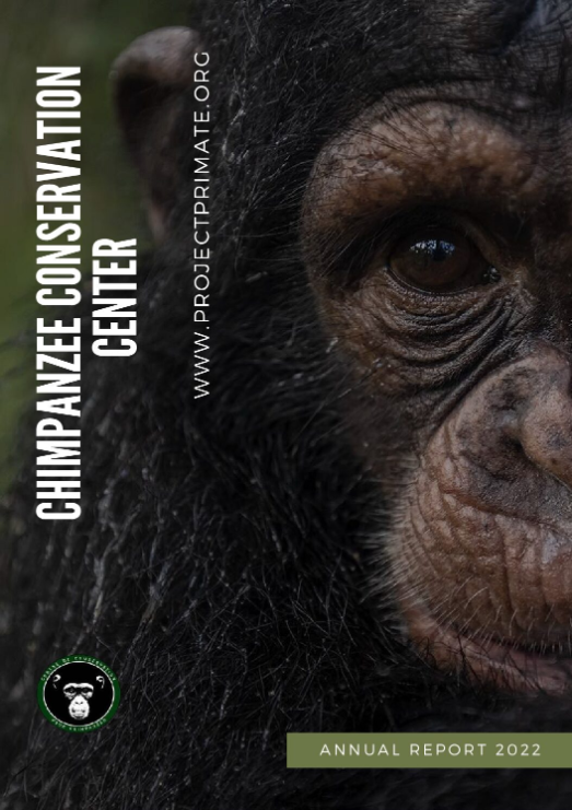 Reports and Publications - Projet Primates